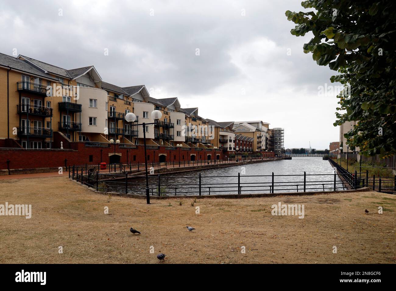 Modern fats around Old Dock off Roath Basin, Cardiff Bay, South Wales ...