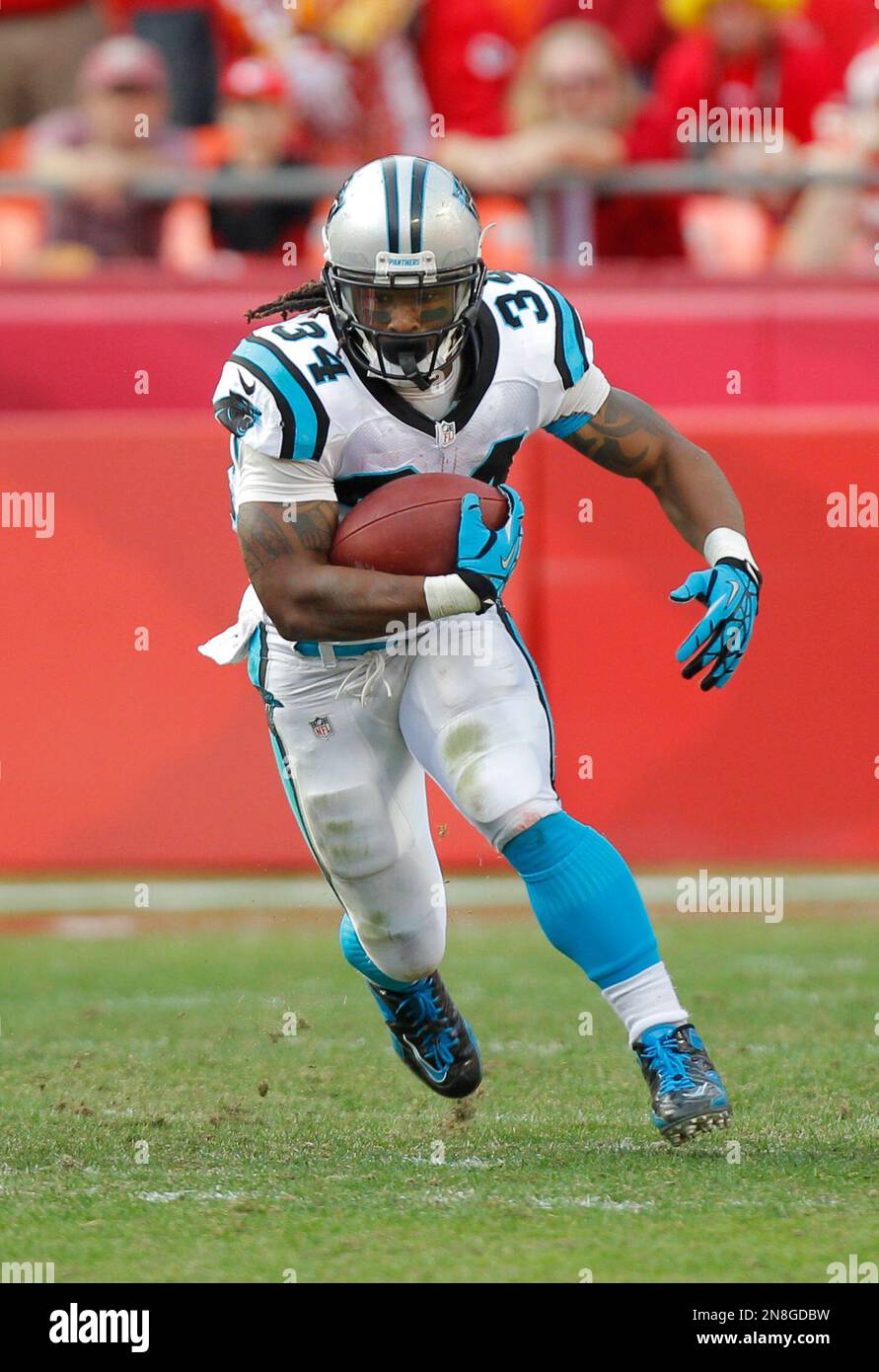 Carolina Panthers running back DeAngelo Williams (34) during an NFL ...