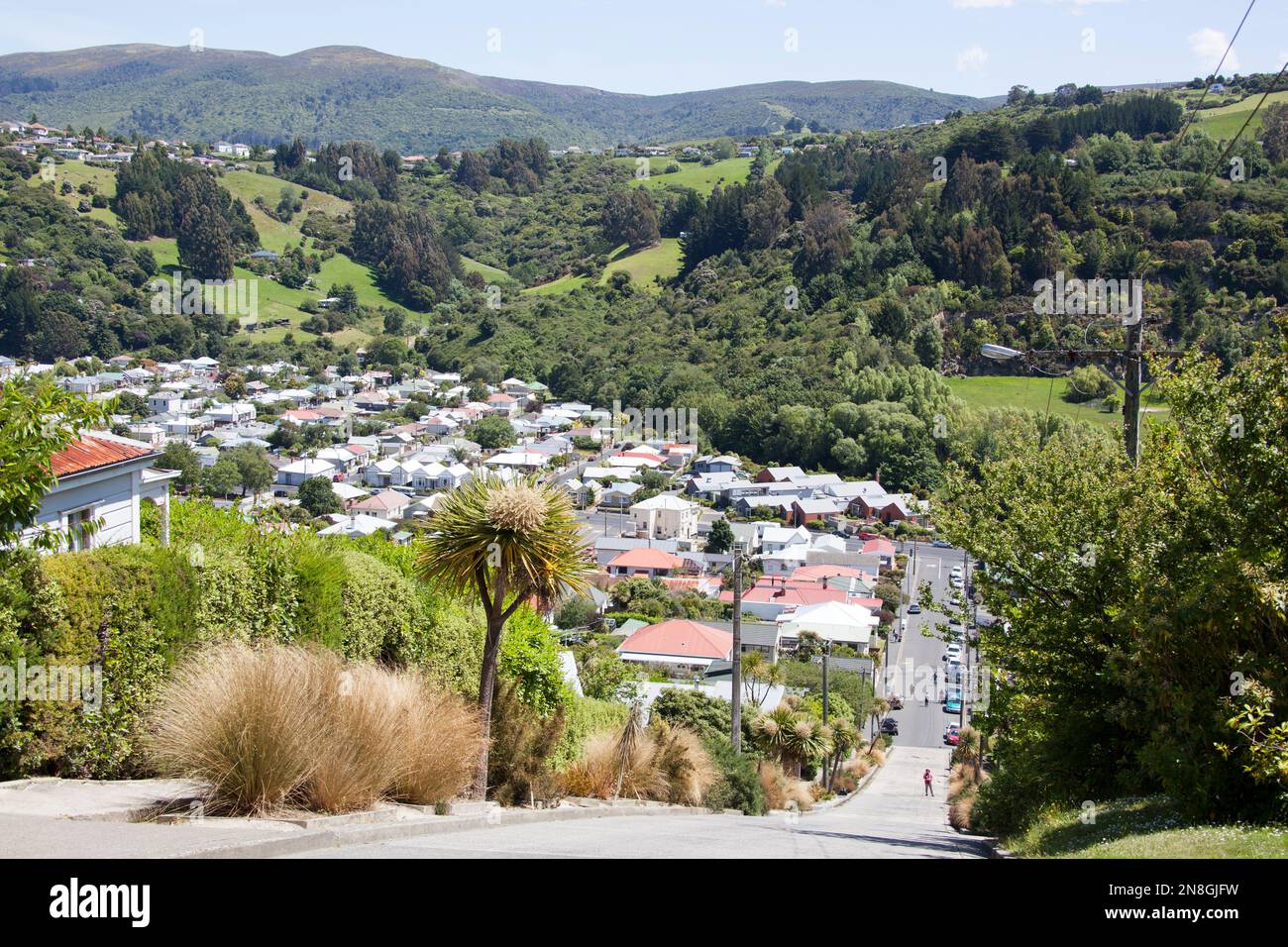 The scenic view of Dunedin residential district and a hilly suburb area ...