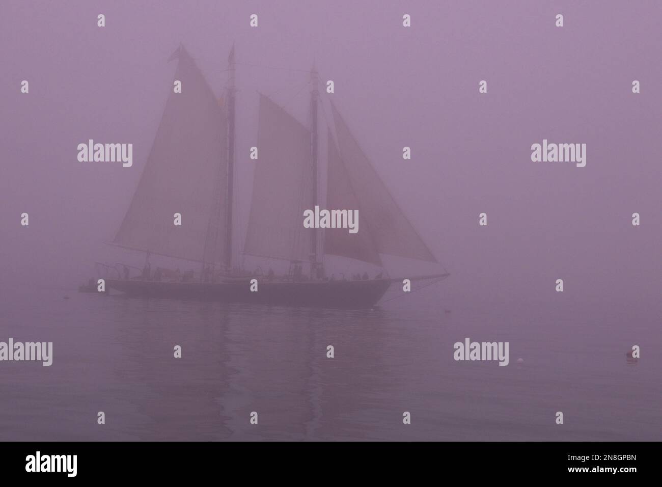 A vintage tall ship sailing off the coast of Maine in typical Maine fog ...