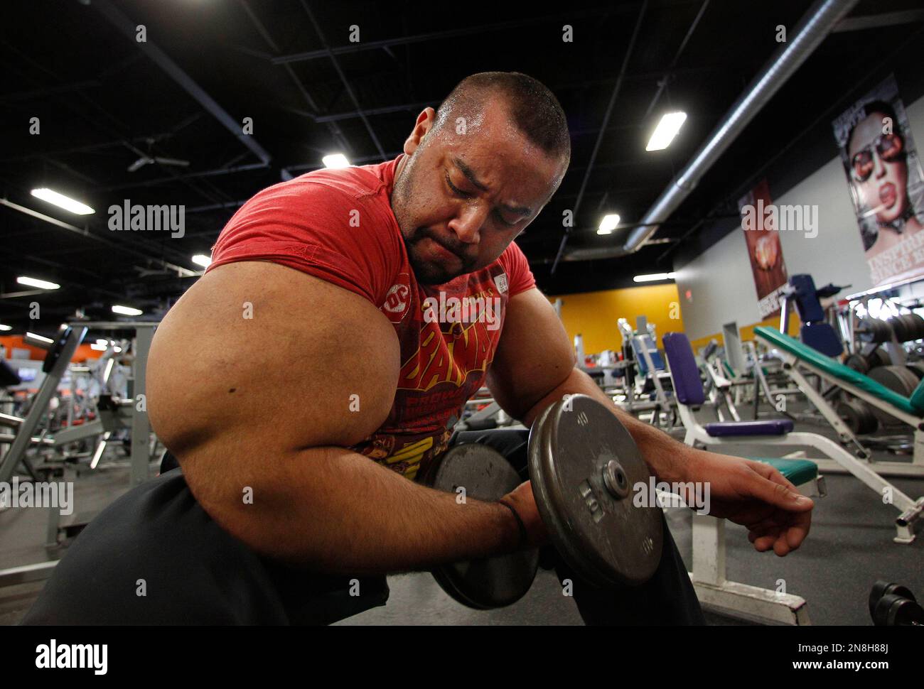 In this photo taken, Friday, Nov. 16, 2012, Egyptian Body builder ...