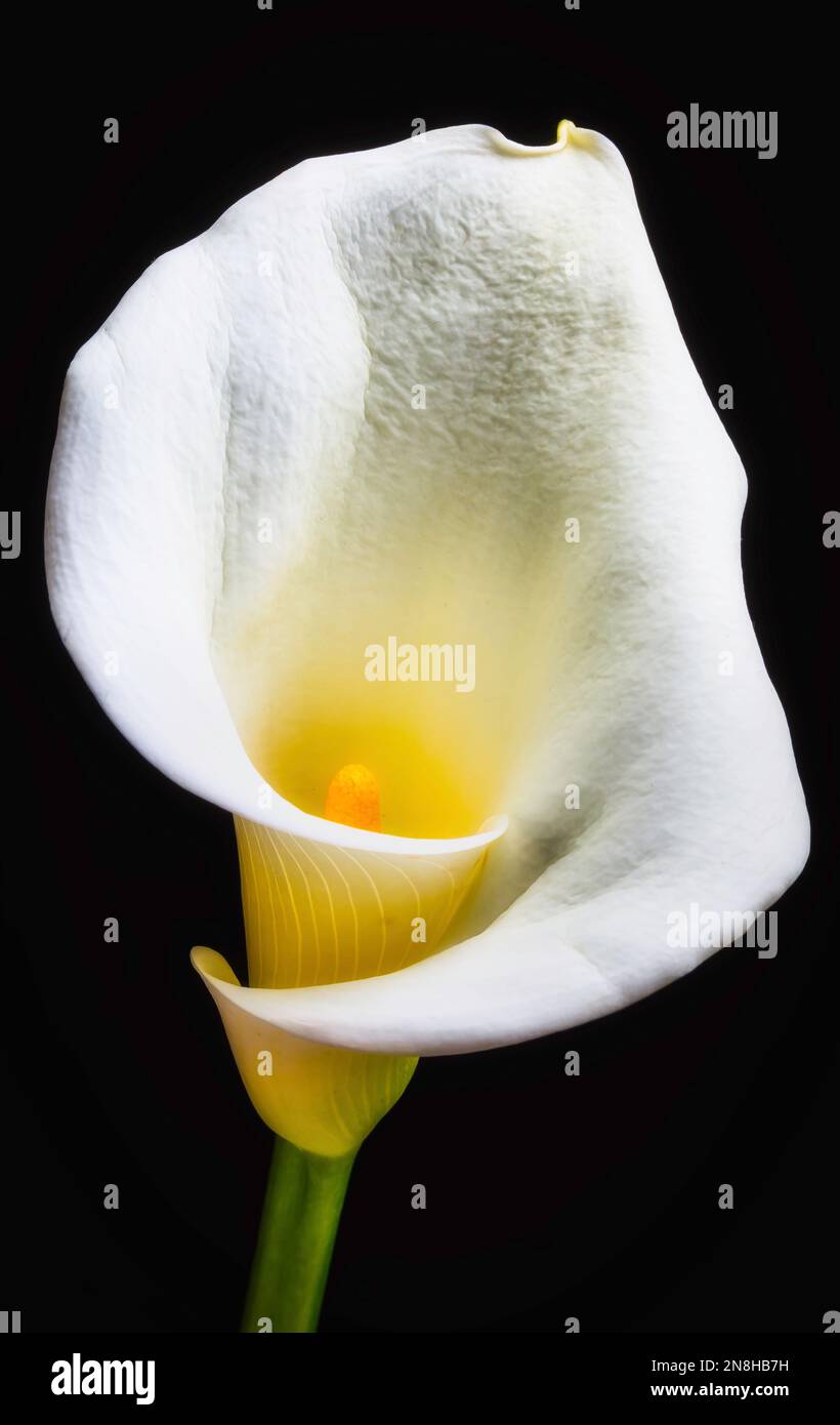 Dark mood aesthetic hi-res stock photography and images - Alamy