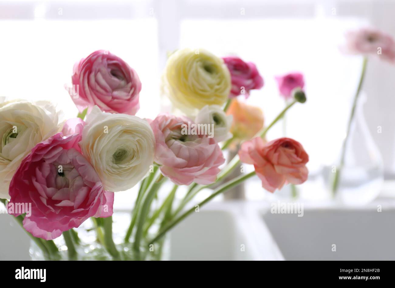 Beautiful fresh ranunculus flowers in kitchen sink, closeup Stock Photo ...