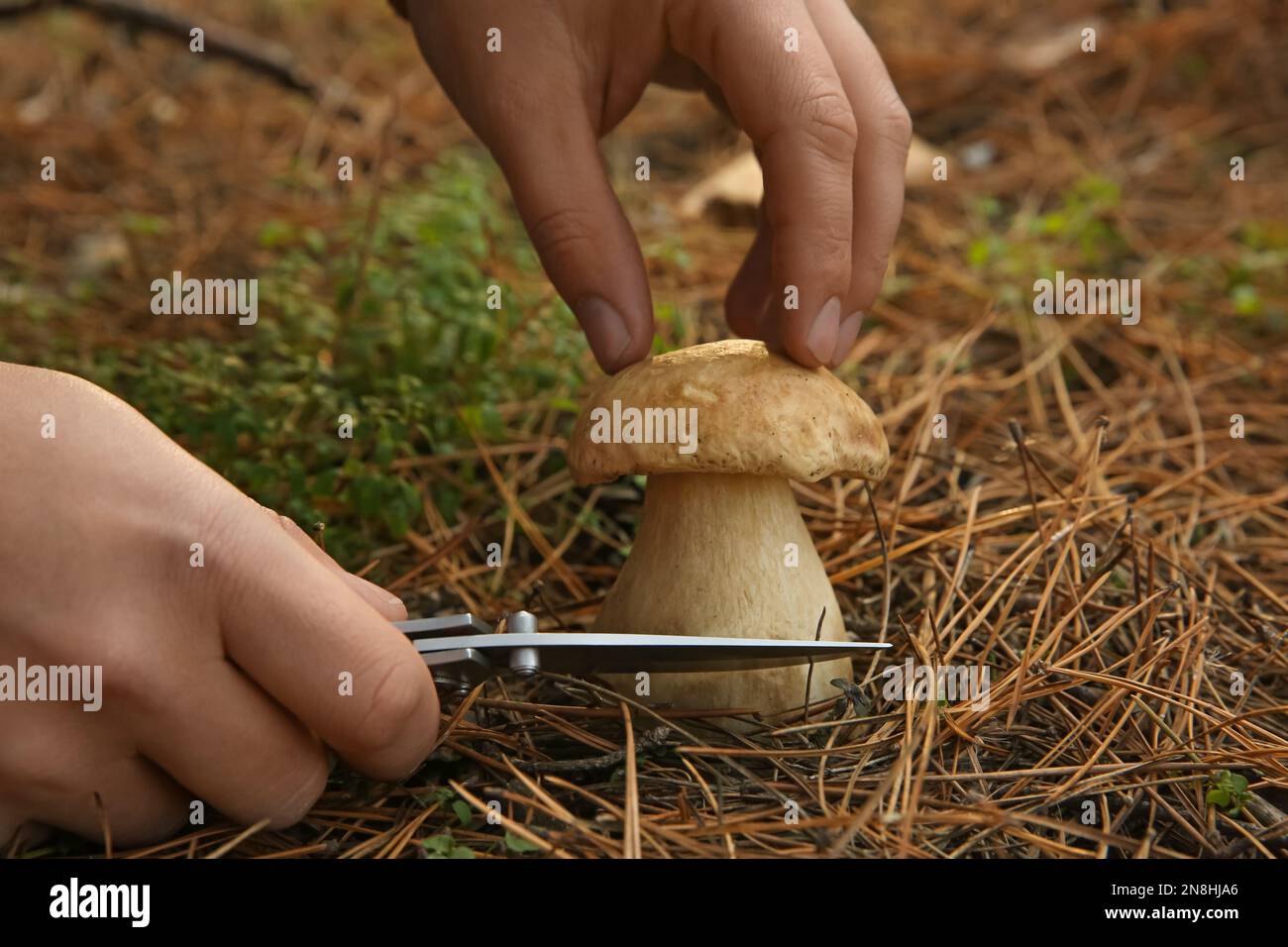 Young man hand hunter hi-res stock photography and images - Alamy