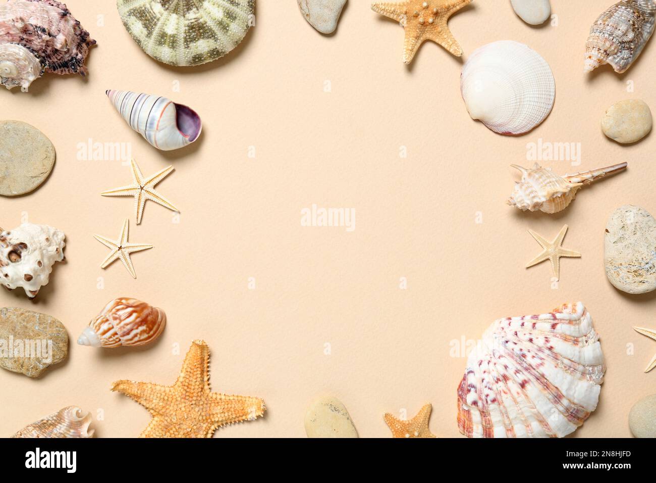 Frame of seashells on light background, flat lay. Space for text Stock ...