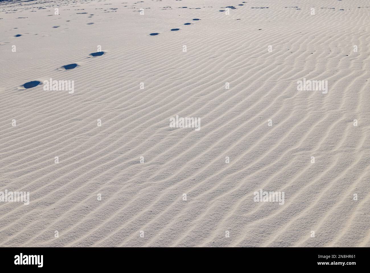 Sunny view of the landscape with some footprints in White Sands ...