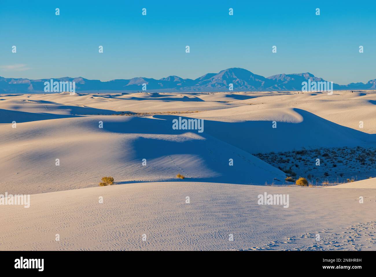Sunny view of the landscape of White Sands National Park at New Mexico ...