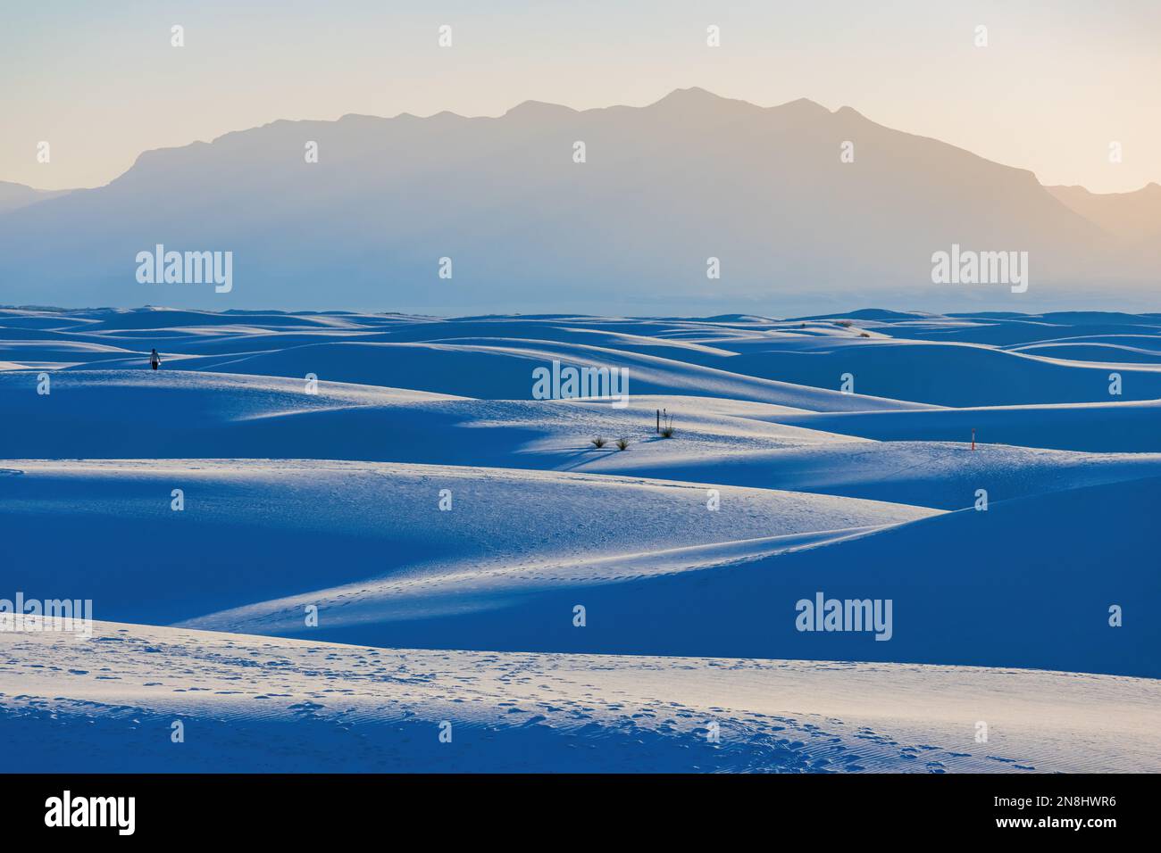 Sunny view of the landscape of White Sands National Park at New Mexico ...