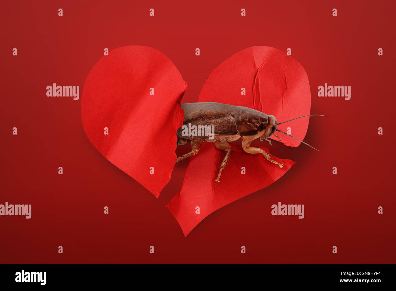 Valentine's Day Promotion Name Roach - QUIT BUGGING ME. Cockroach and ...