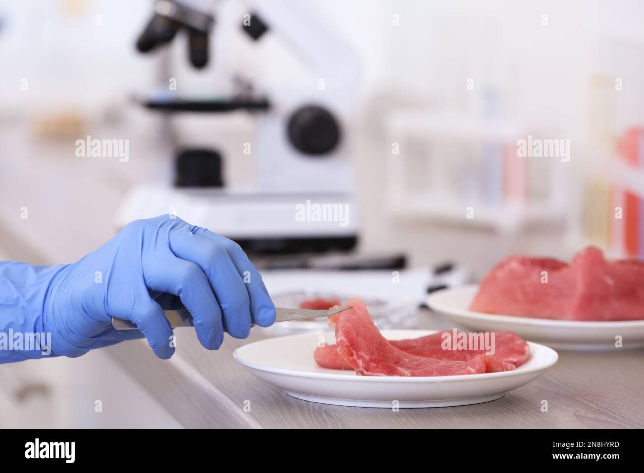 Scientist inspecting meat at table in laboratory, closeup. Food quality ...