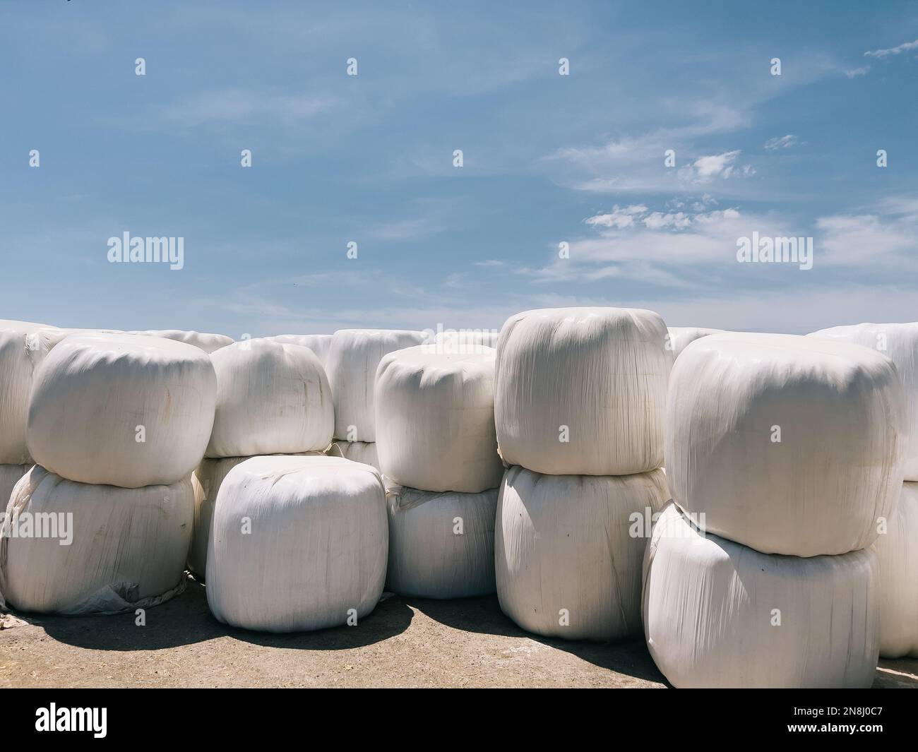 Hay lies in rows in bales packed in white burlap Stock Photo - Alamy