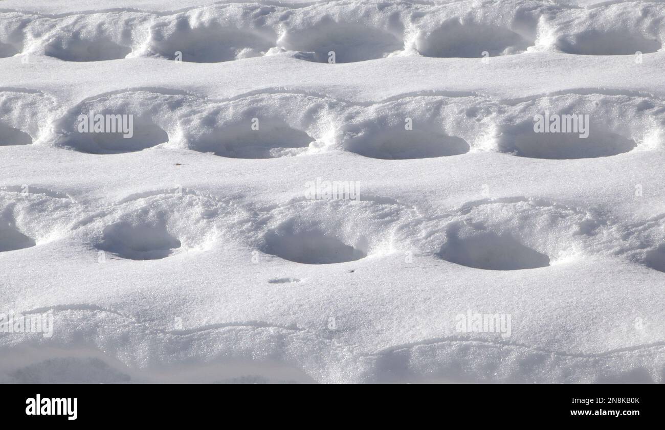 Holes formed by snow stops on a roof of Stock Photo - Alamy