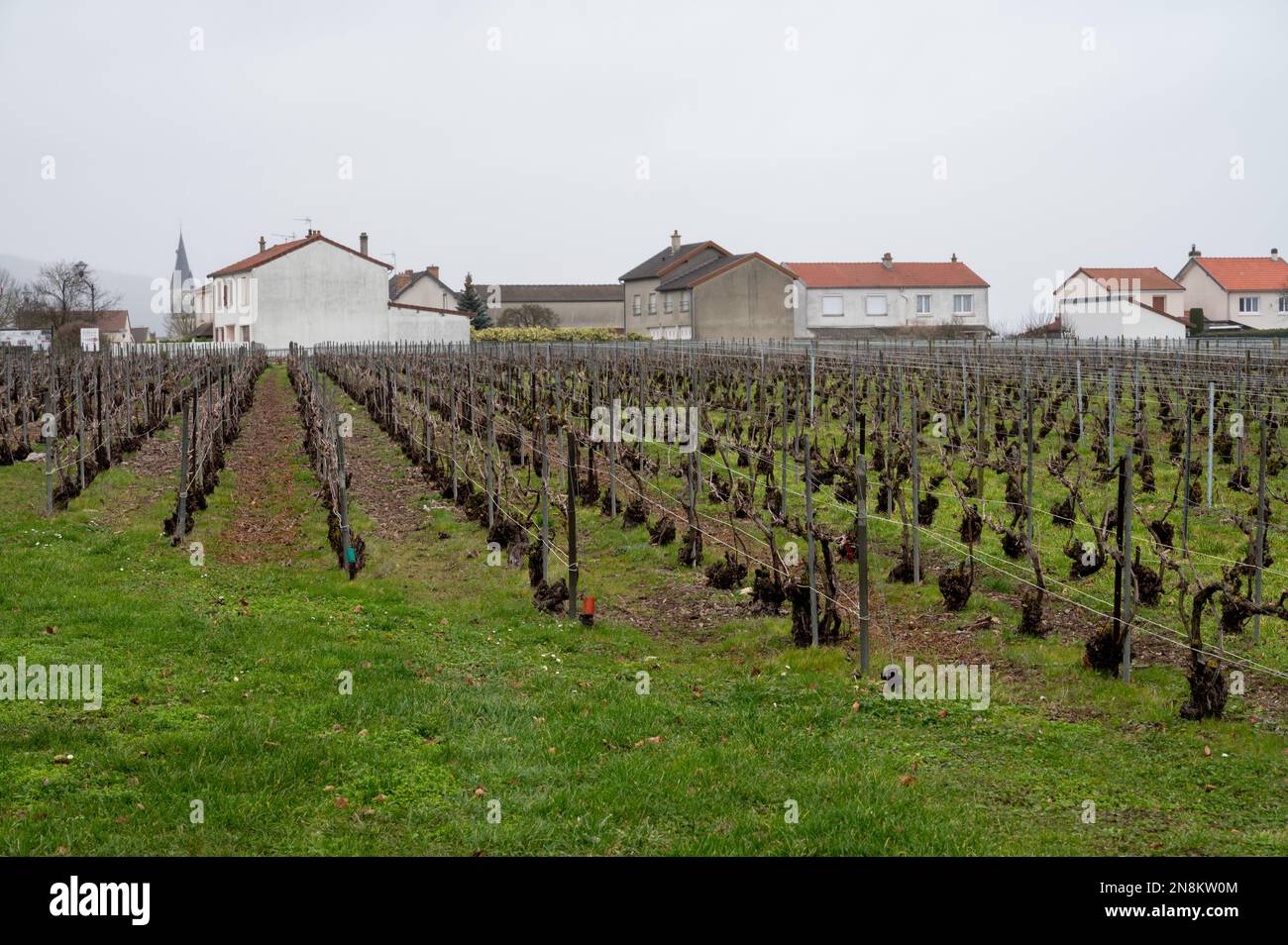 View of Champagne gran cru vineyards and houses of Bouzy village at ...