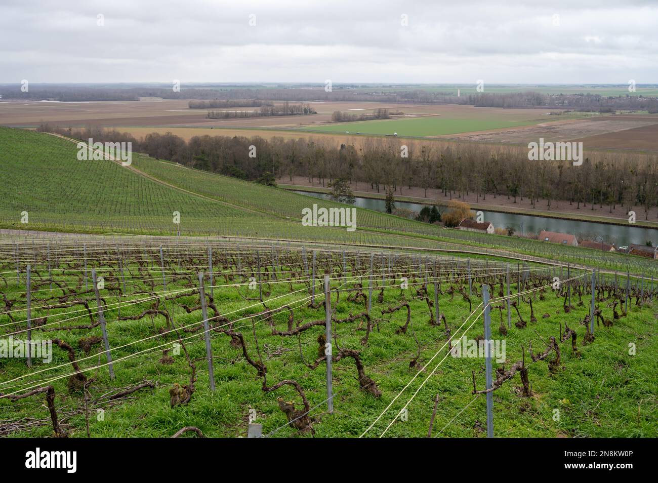 View of Champagne gran cru vineyards and Marne river near Ay village at ...