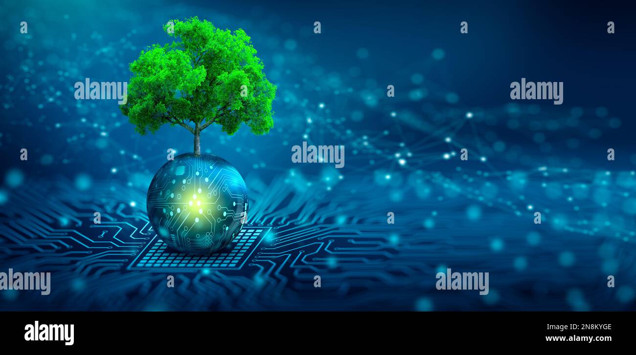 Tree growing on Circuit digital ball. Digital and Technology ...