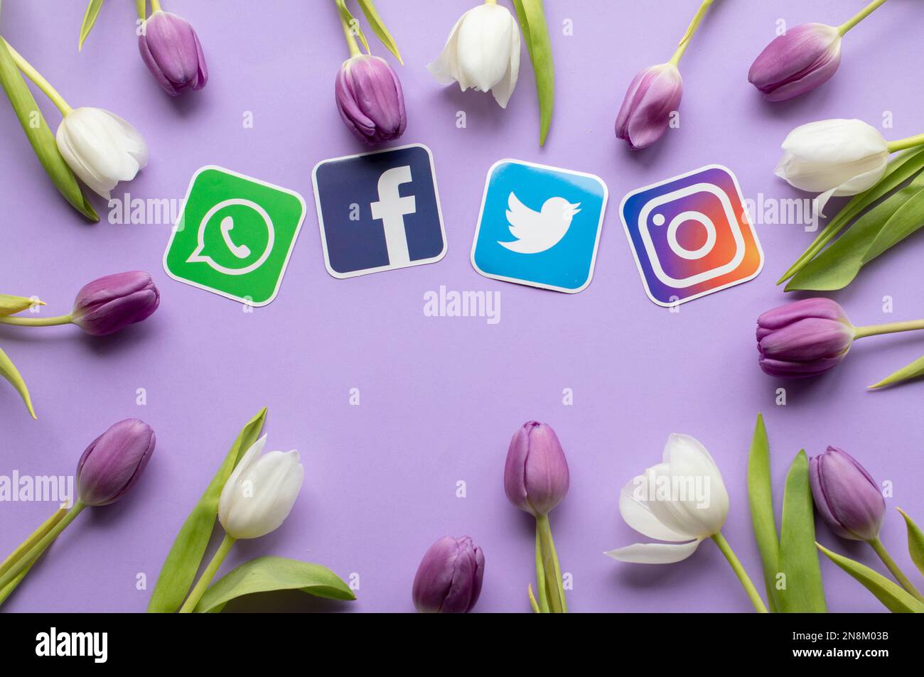 RIGA,LATVIA-APRIL 25,2022.Social media logos and spring fresh tulips on ...