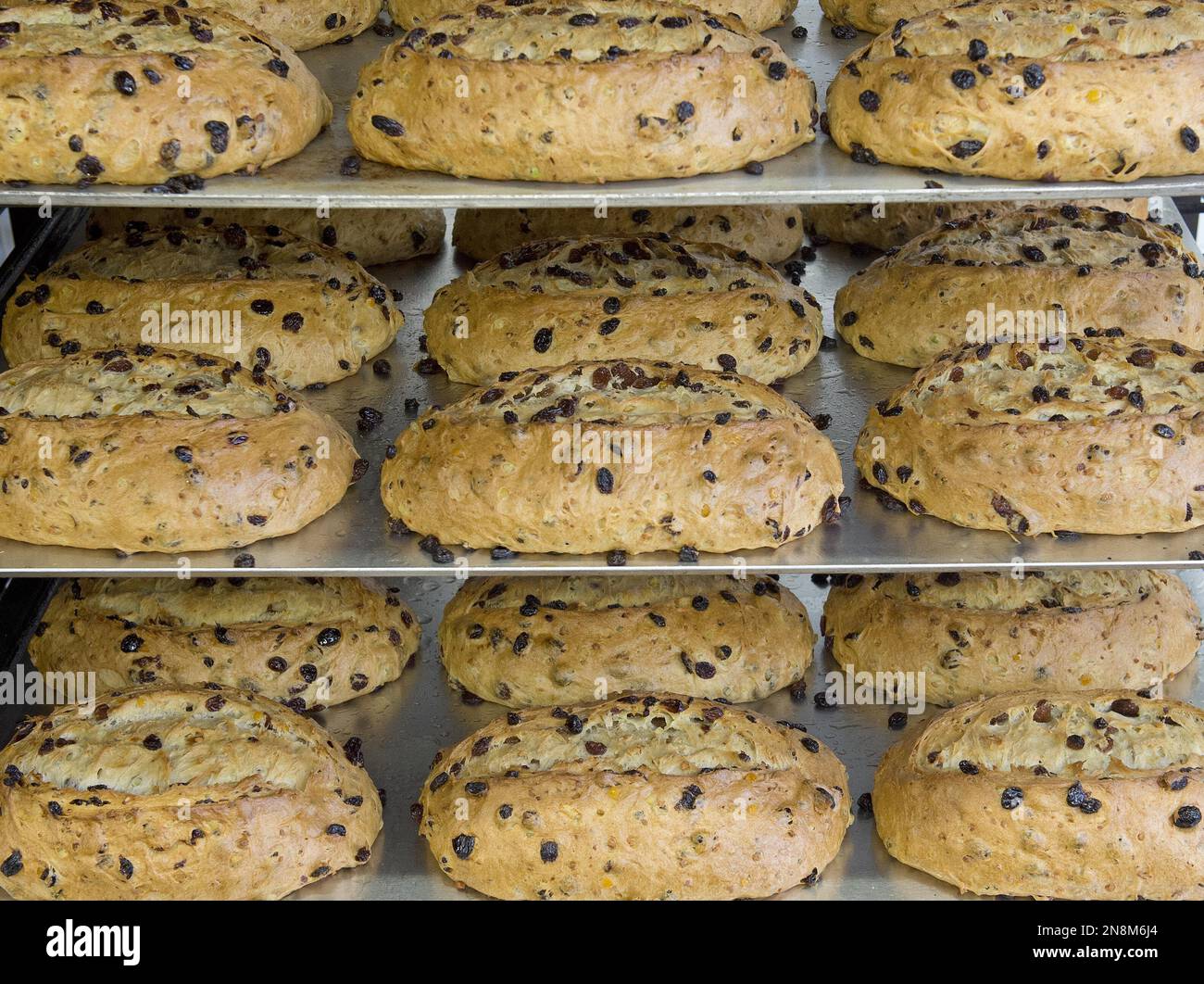 Baked Christmas cakes Original Dresdner Christstollen (Dresden Stollen ...