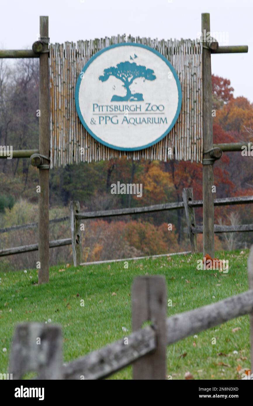 A teddy bear rests at the base of a sign near the entrance to the ...