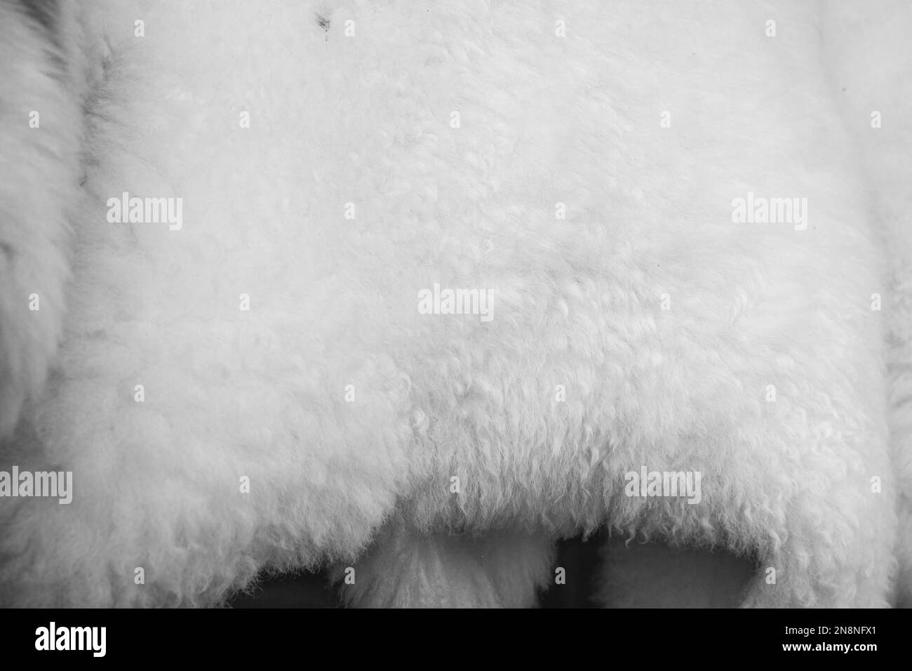 Sheep skin structure.Close up of sheep fur Stock Photo - Alamy