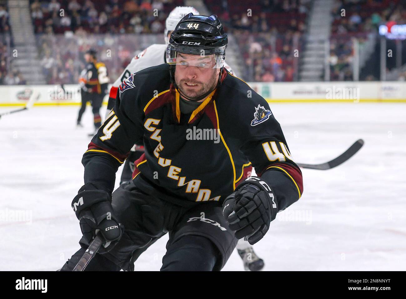 CLEVELAND, OH - FEBRUARY 11: Cleveland Monsters left wing Brett Gallant ...