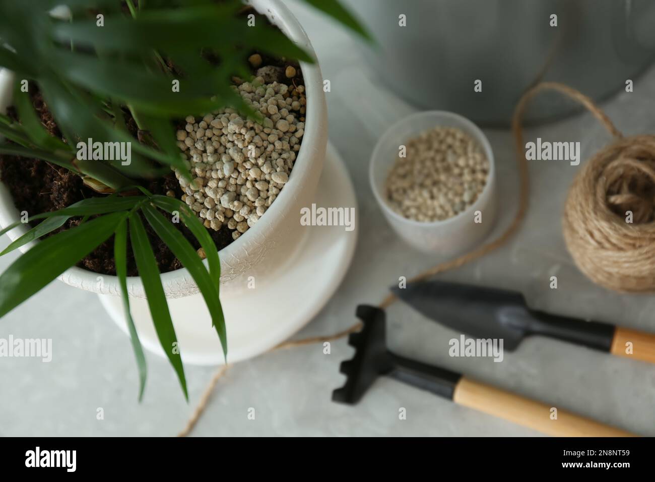 Beautiful house plant with granular fertilizer on table, above view ...