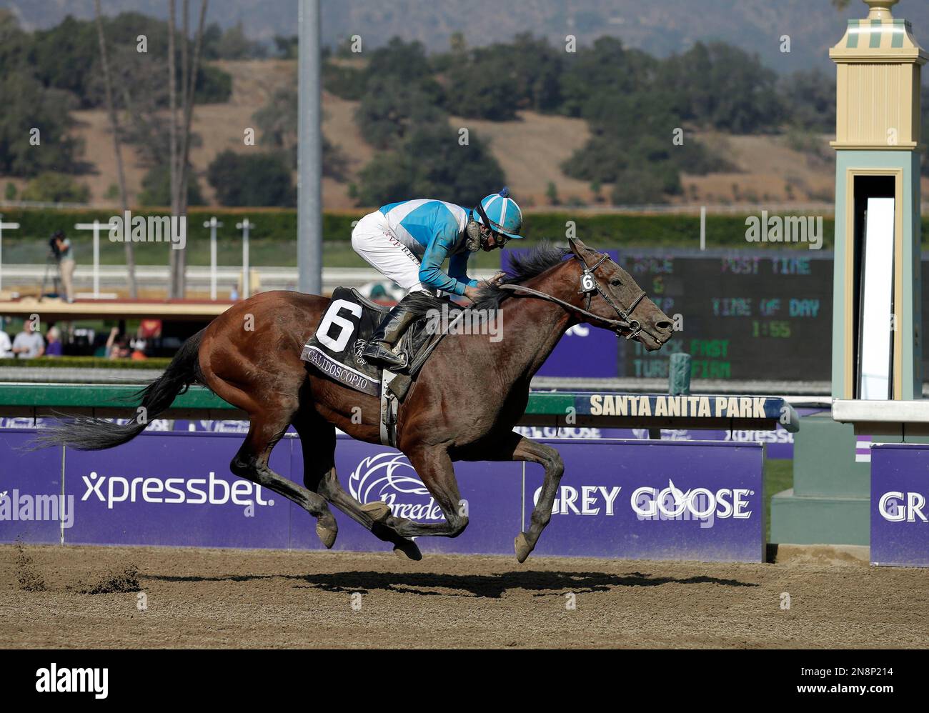 Calidoscopio with Aaron Gryder atop races to the finish line to win the ...