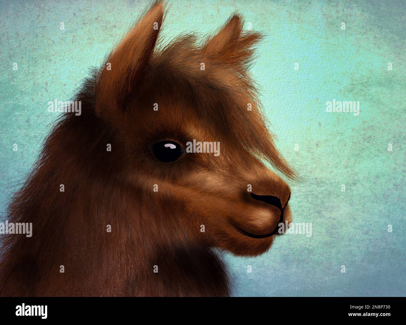 Digital illustration - lama portrait, cute and fluffy animal curiously ...