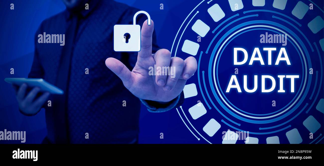 Writing Displaying Text Data Audit Business Overview Auditing Of Data To Assess Its Quality For