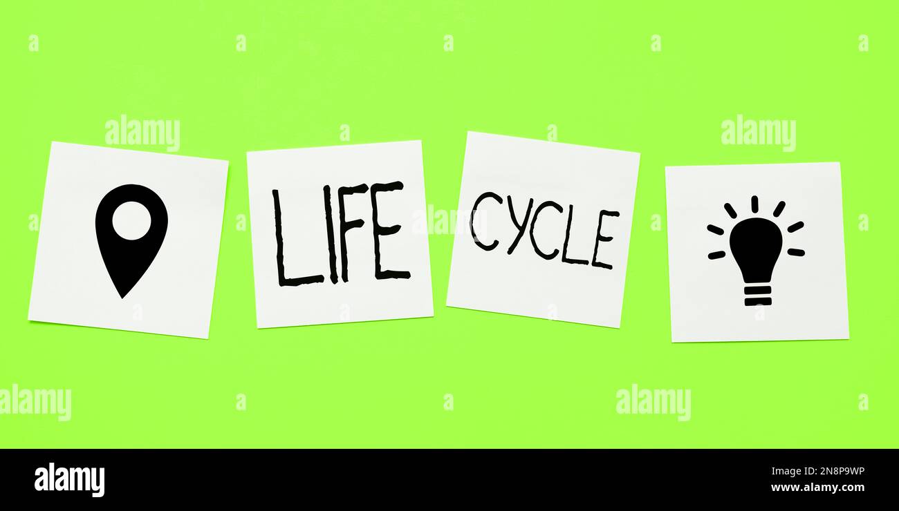 Writing displaying text Life Cycle. Conceptual photo the series of ...