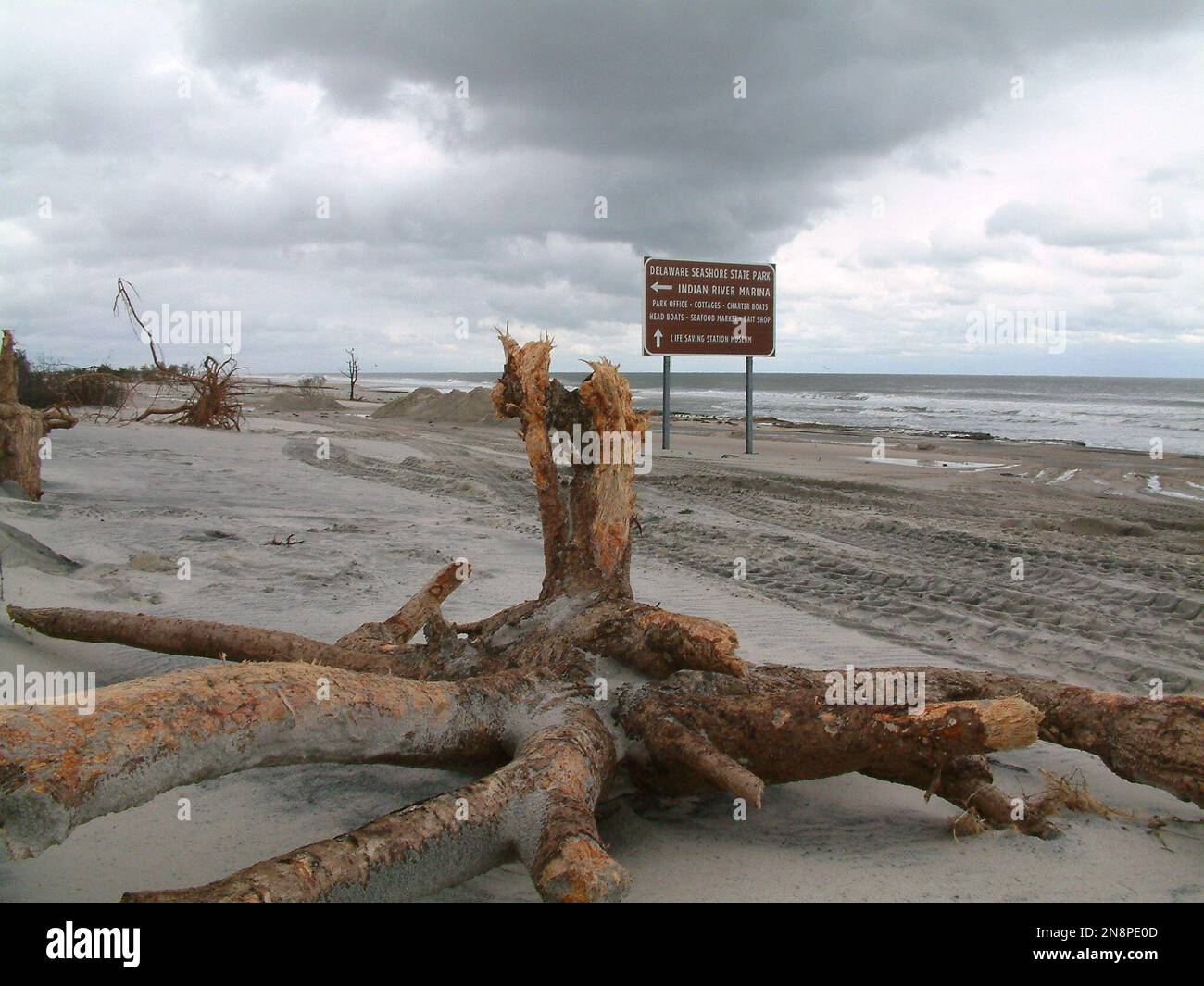 Debris litters the beach north of Indian River Inlet in southern ...