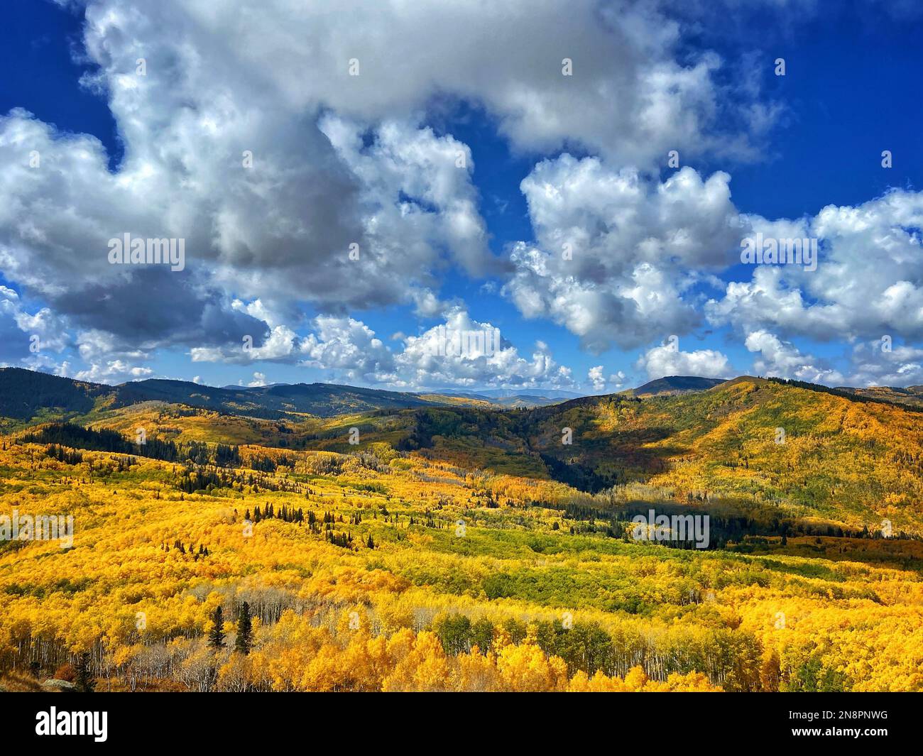 A beautiful fall landscape with a mountain range covered in yellow ...