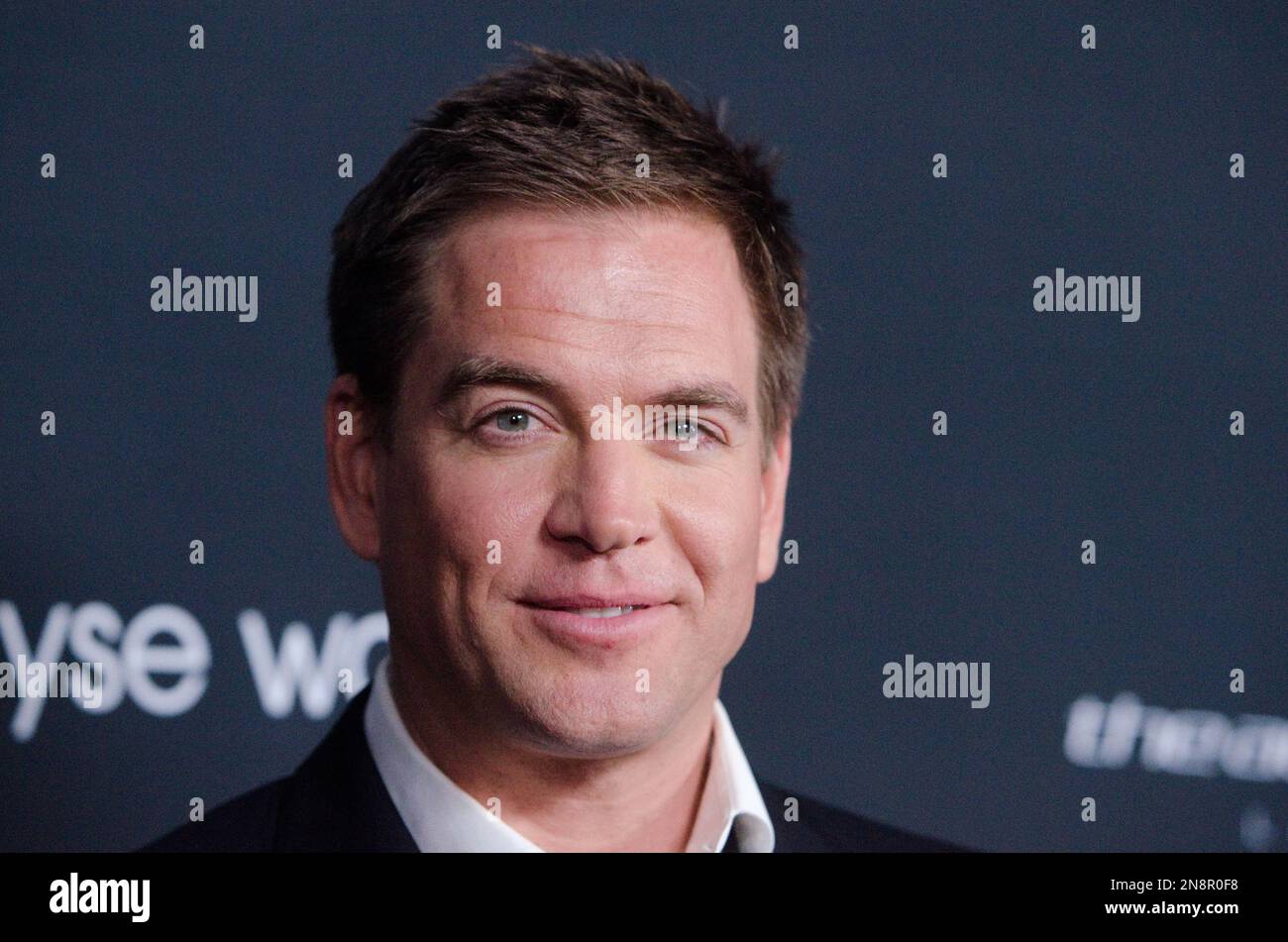 Michael Weatherly attends the Pink Party at the Hangar: 8 on Saturday ...