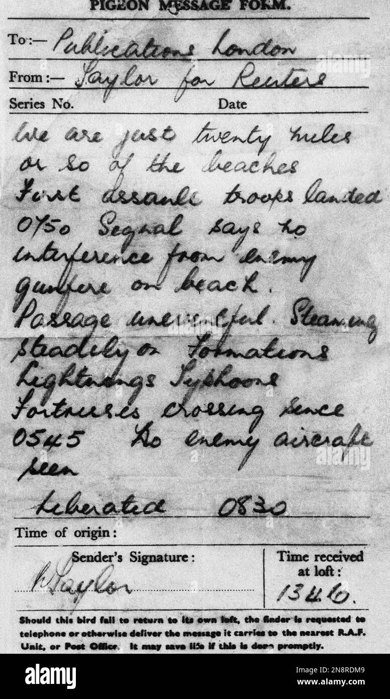 FILE- Gustave an R.A.F. Coastal Command carrier pigeon, brought this ...