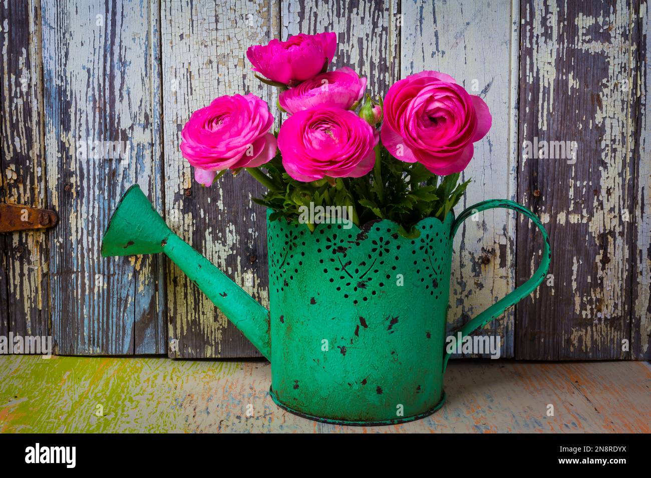 Detail watering flowers watering can hi-res stock photography and ...