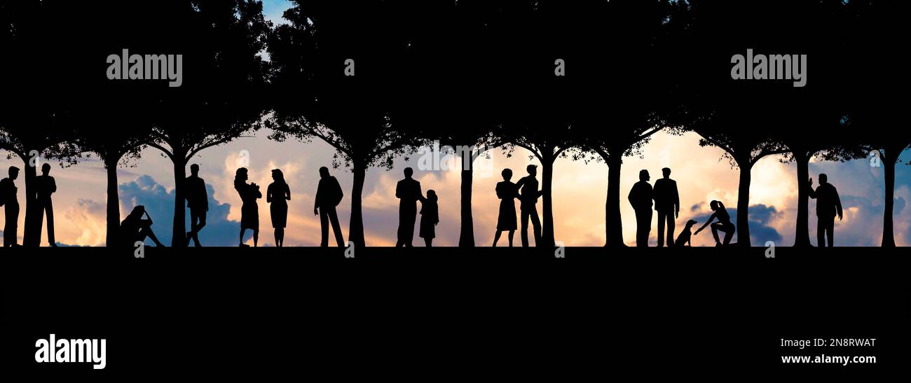 Many people are seen under trees in a park at the end of a day. The ...