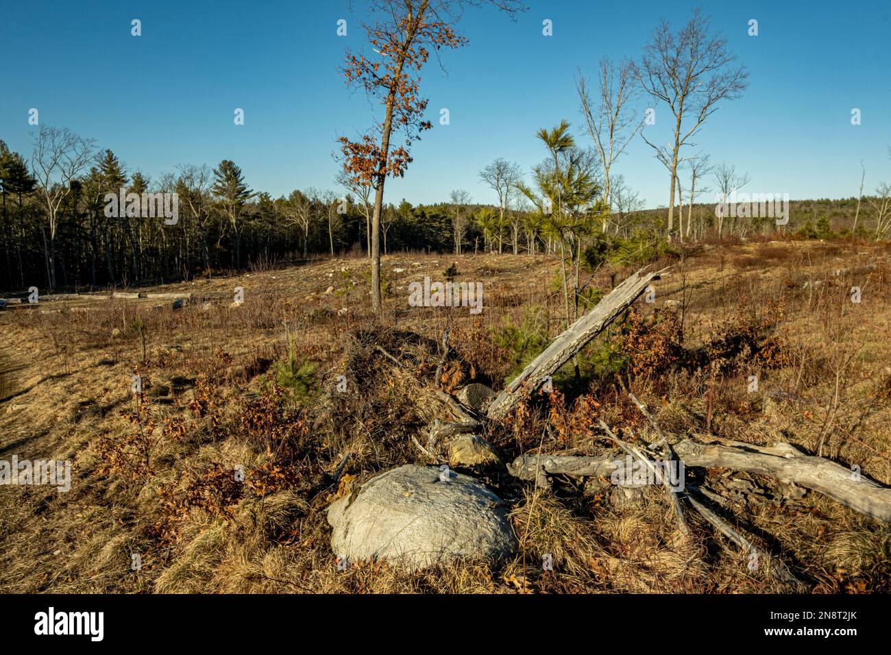 Land cut hi-res stock photography and images - Alamy