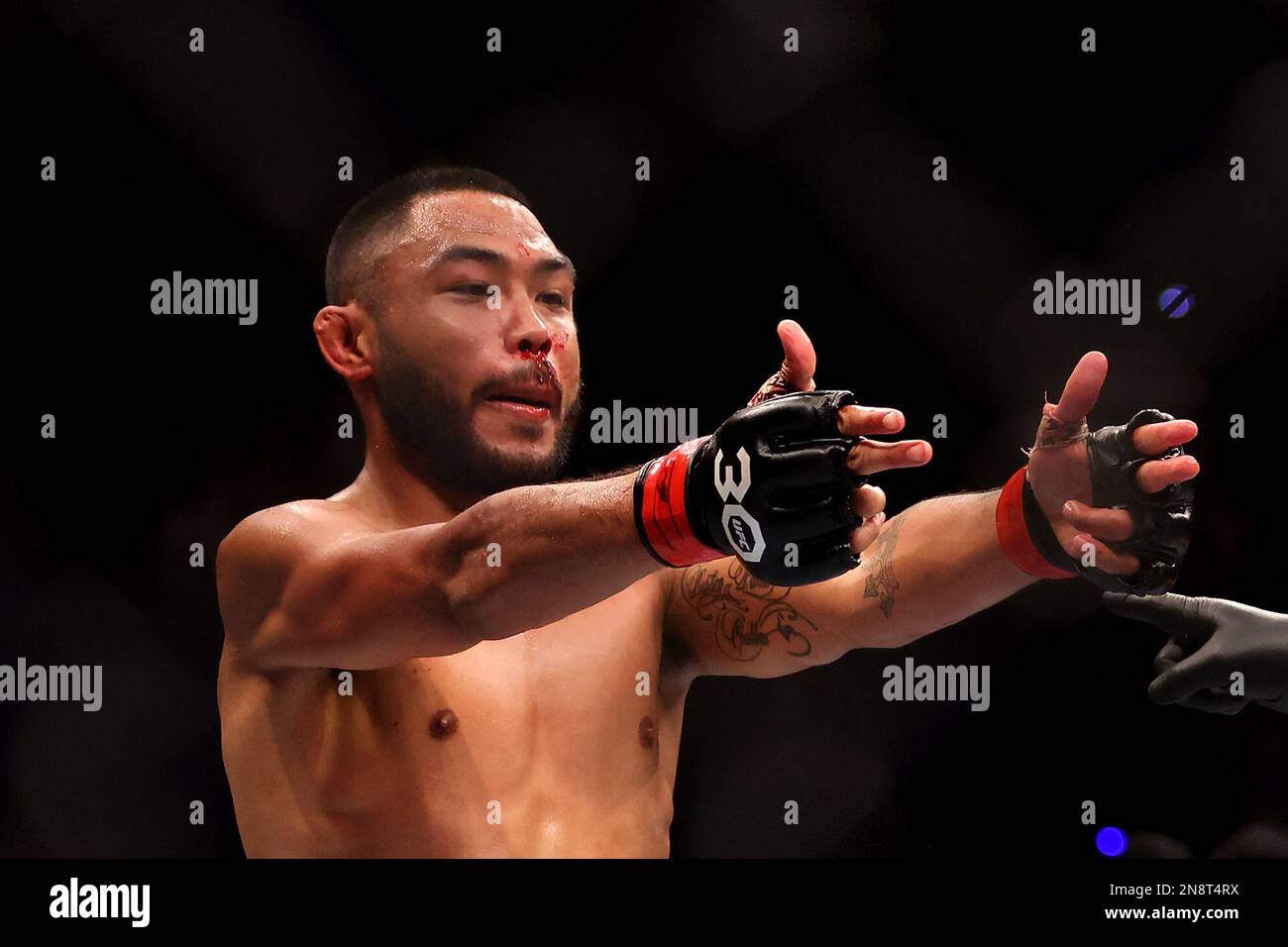 Josh Culibao of Australia celebrates his win against Melsik ...