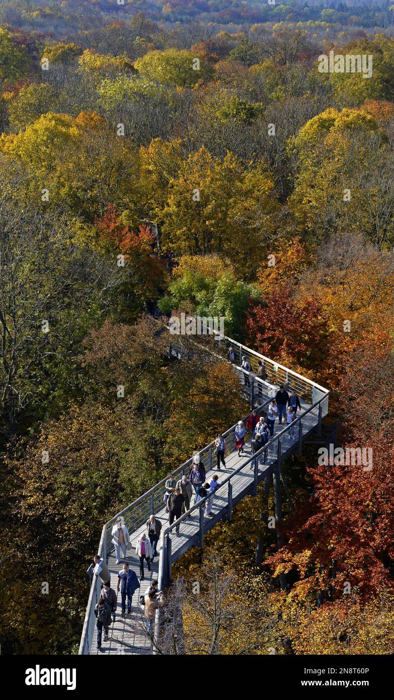 Visitors walk between trees bearing their autumnal colors during sunny ...