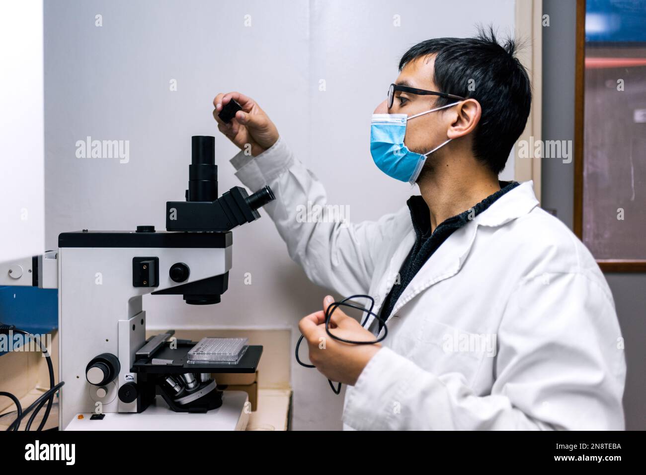 Male Scientist Using Microscopy in Laboratory Stock Photo - Alamy