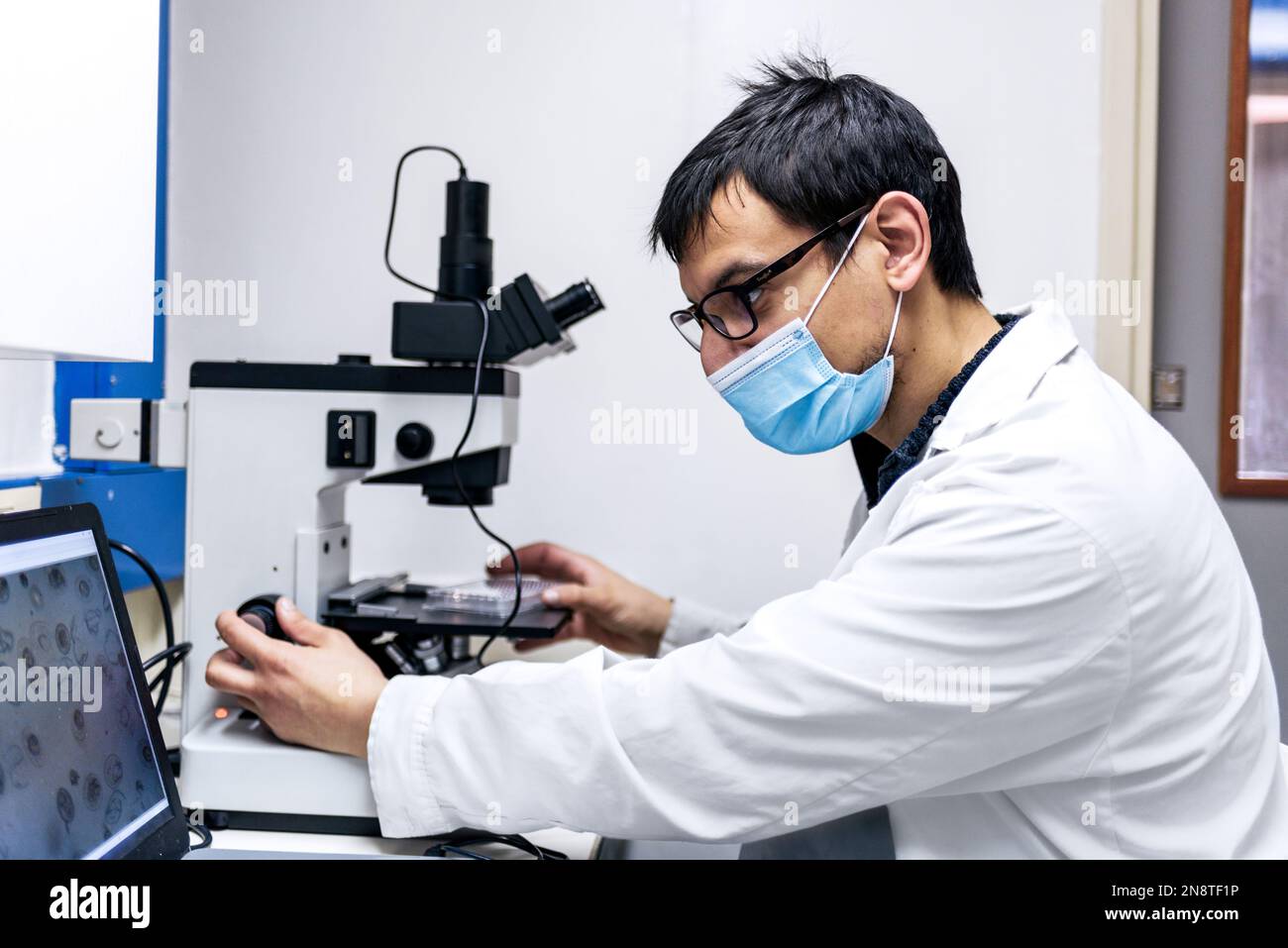 Male Scientist Using Microscopy in Laboratory Stock Photo - Alamy