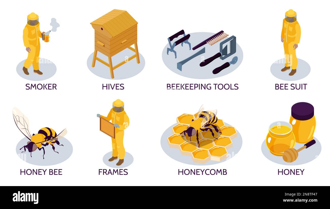 Beekeeping Process