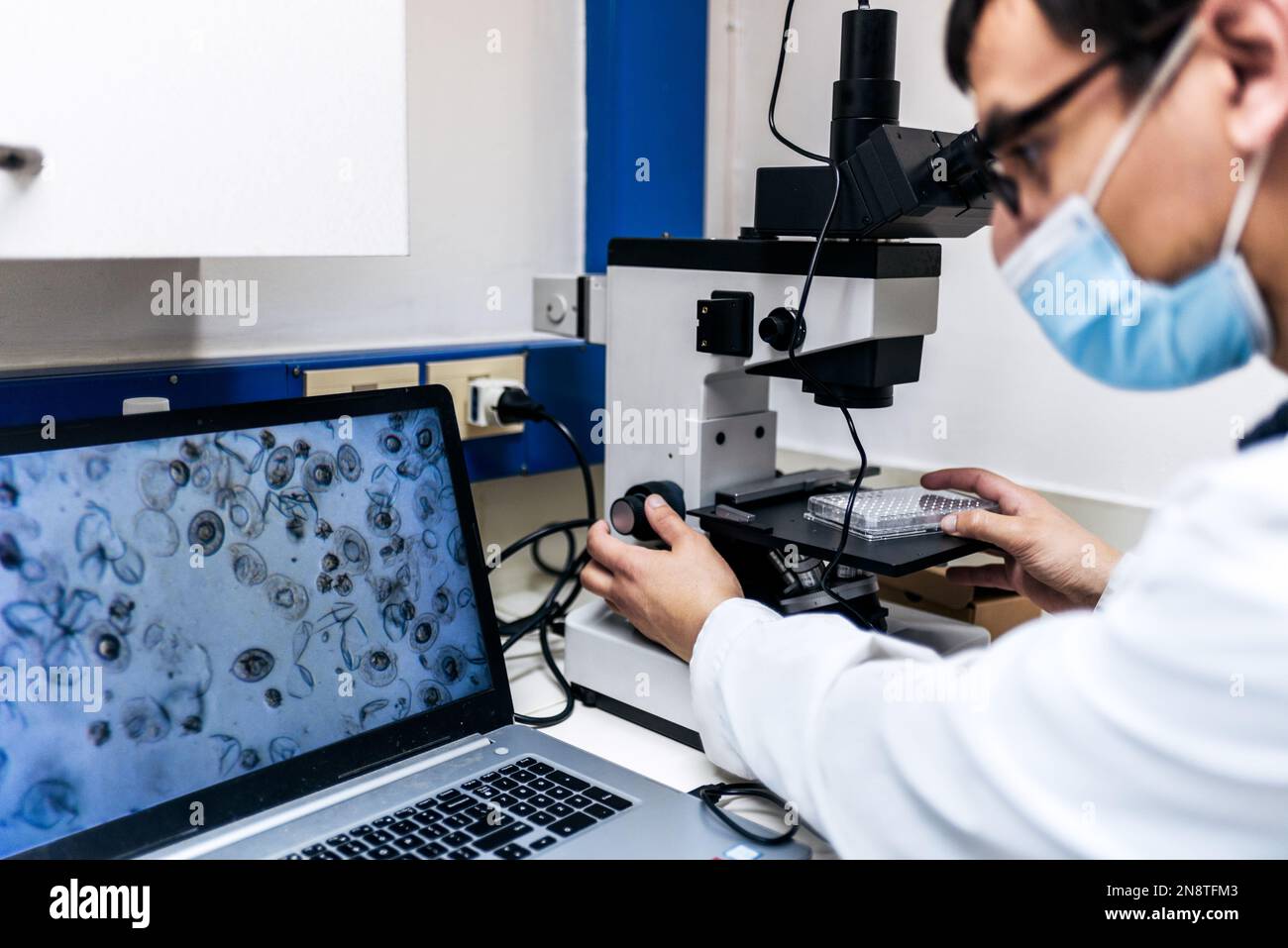 Male Scientist Using Microscopy in Laboratory Stock Photo - Alamy