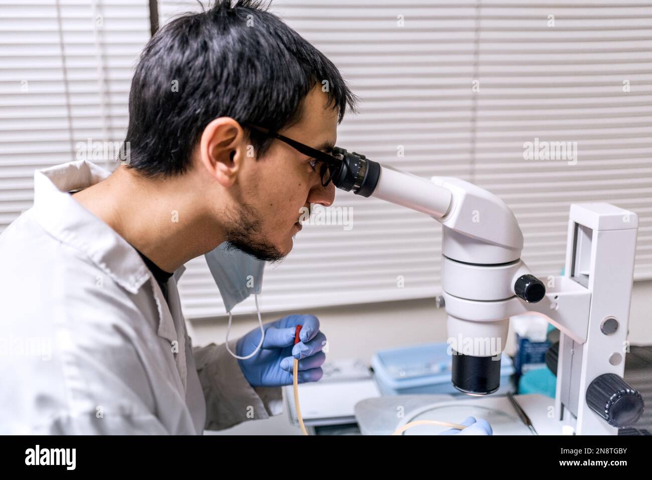 Testing microscopy laboratory hi-res stock photography and images - Alamy