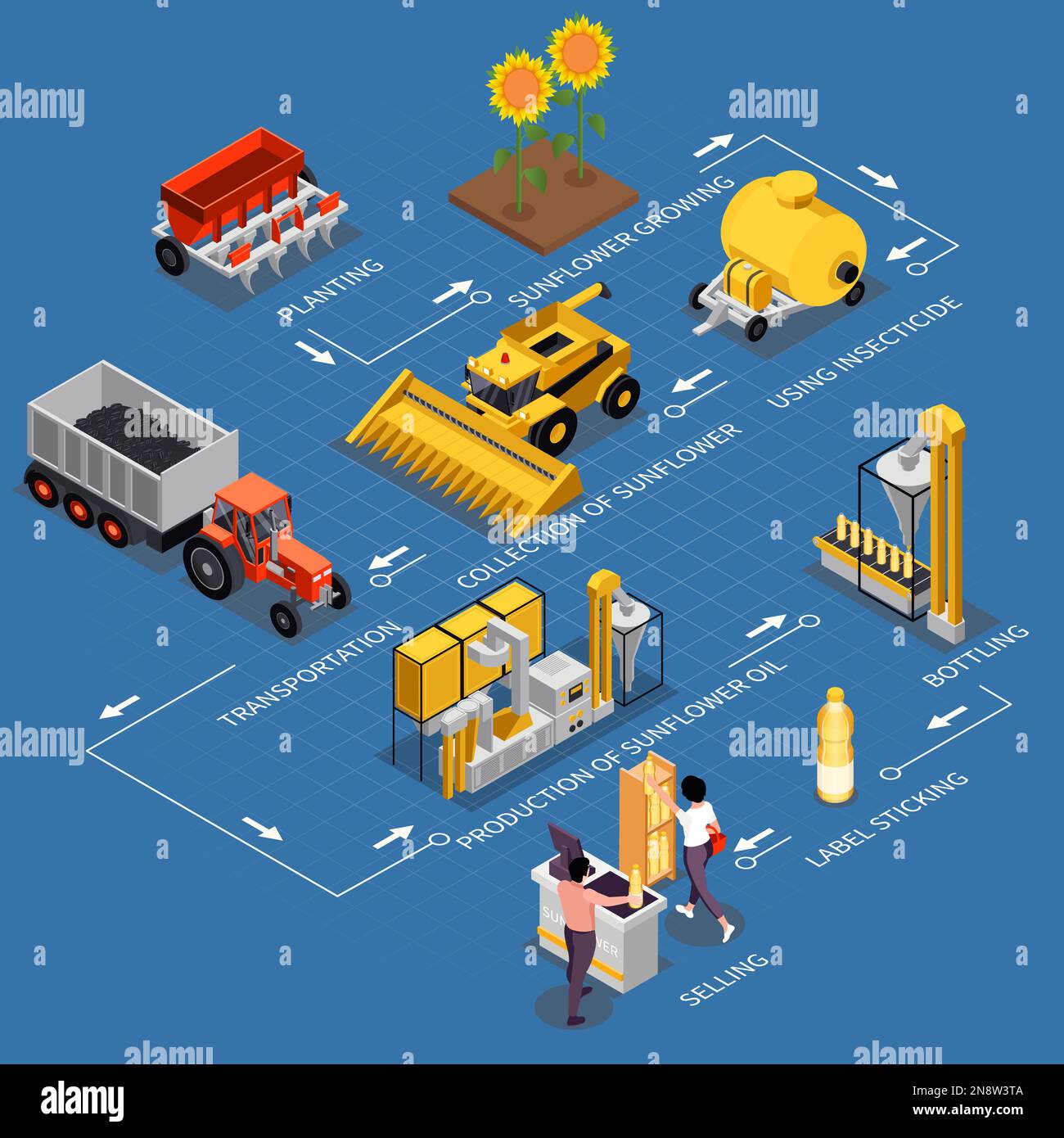 Sunflower production isometric composition with set of isolated ...
