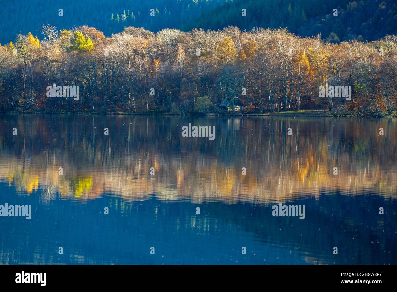 Serenity and beauty hi-res stock photography and images - Alamy