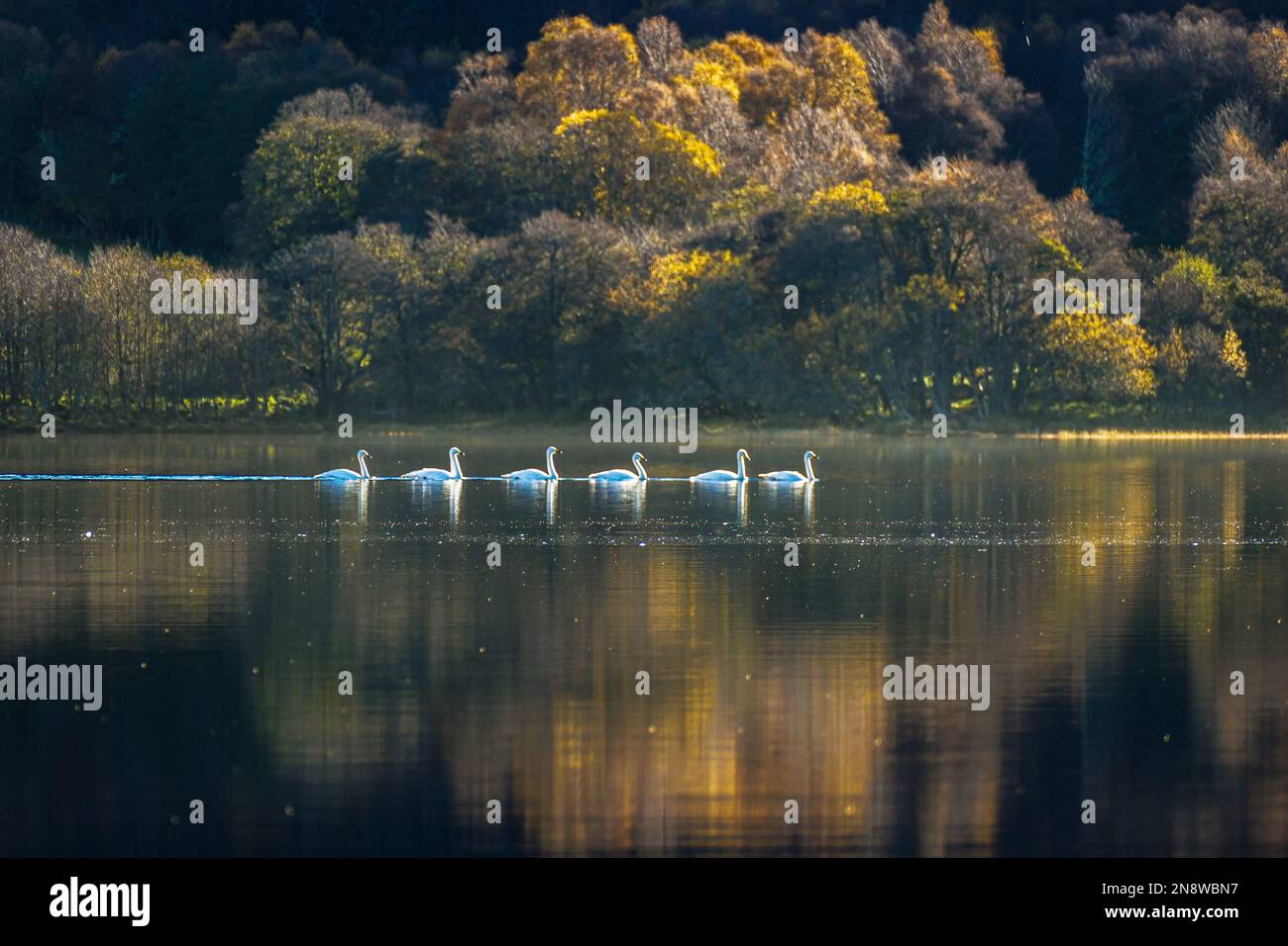 Serenity environment hi-res stock photography and images - Alamy