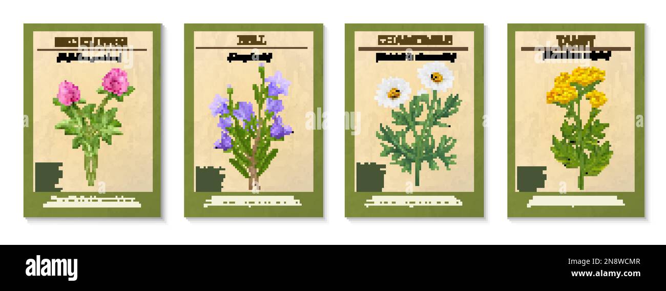 Realistic wild flower bouque poster set isolated vector illustration hi ...