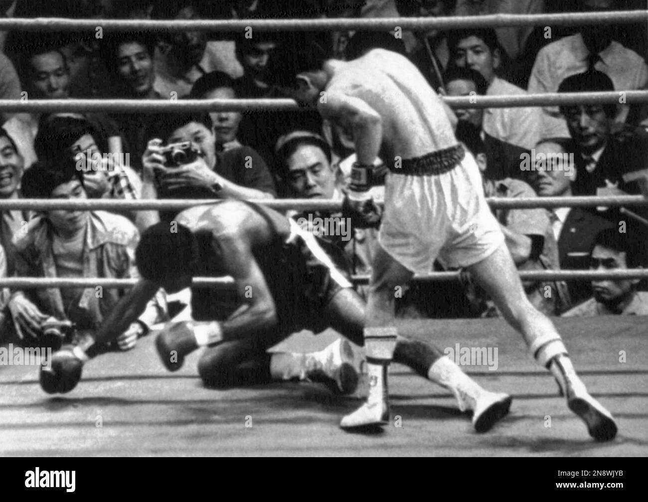 Panamanian boxer Orland Amores kneels down on the canvas after being ...
