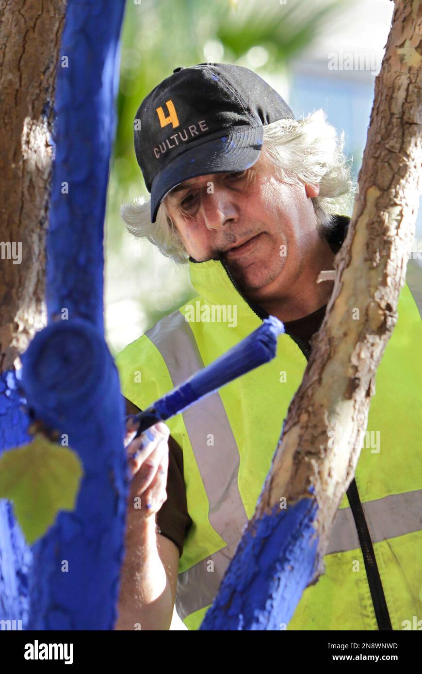 Artist Konstantin Dimopoulos coats a Sycamore tree with blue dye as ...