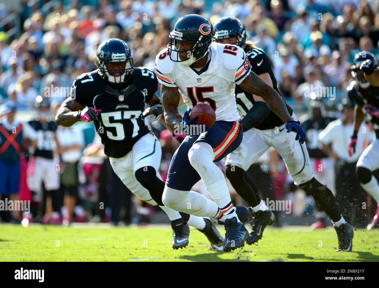 Brandon Marshall Catch Bears